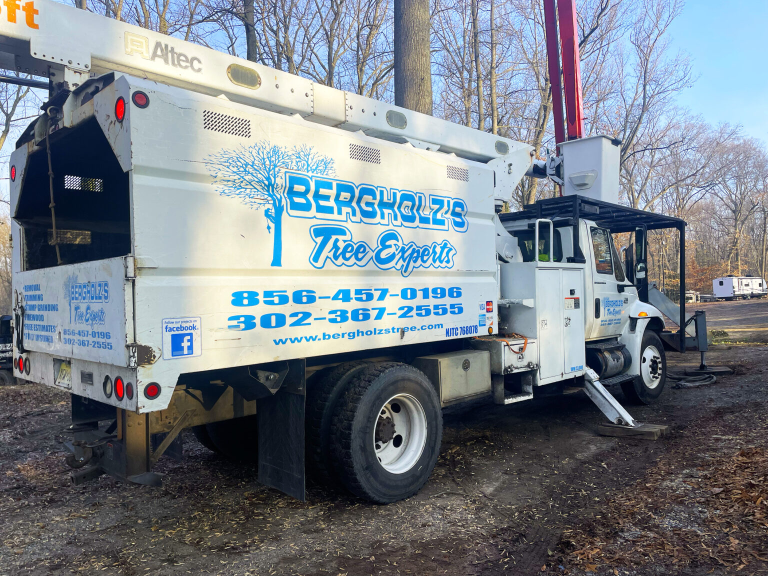 Tree Service Process - Bergholzs Tree Experts | Gloucester County Tree ...