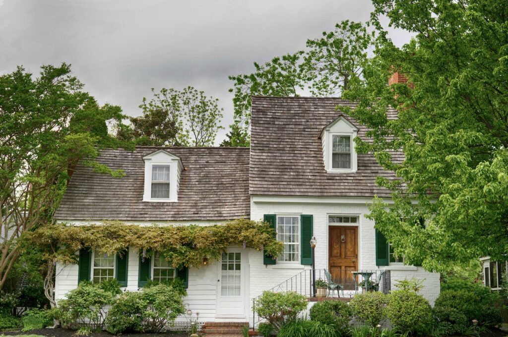 Why Tree Roots Can Cause Foundation Problems and How to Manage Them ...