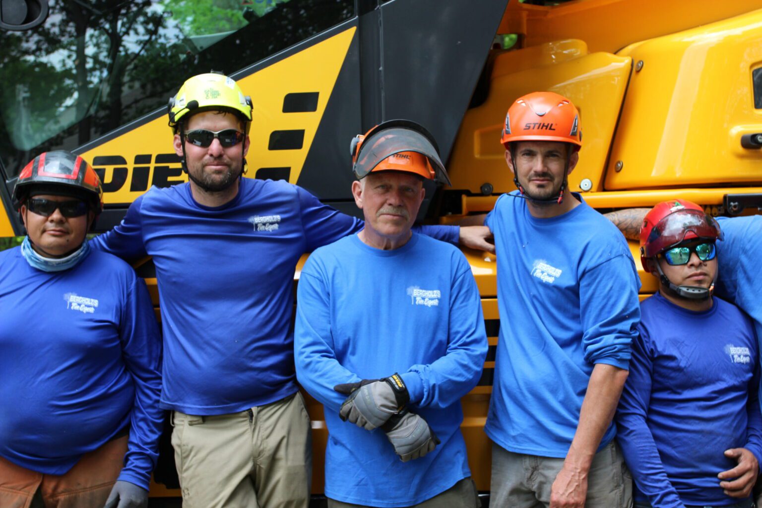 Why a Local Tree Service Is the Smart Choice - Bergholzs Tree Experts ...